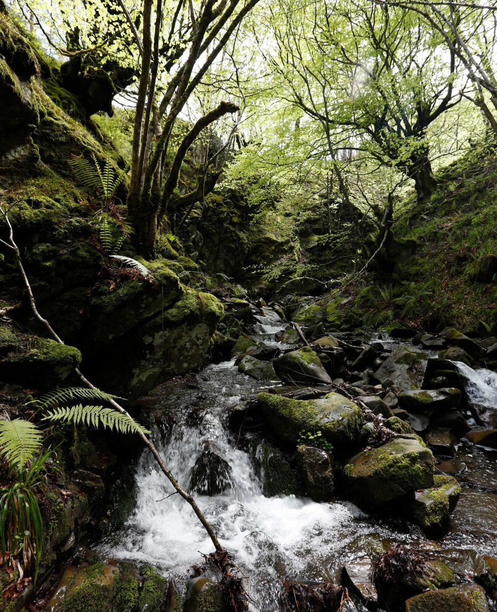 Nuestra Casa - Casa Marcial